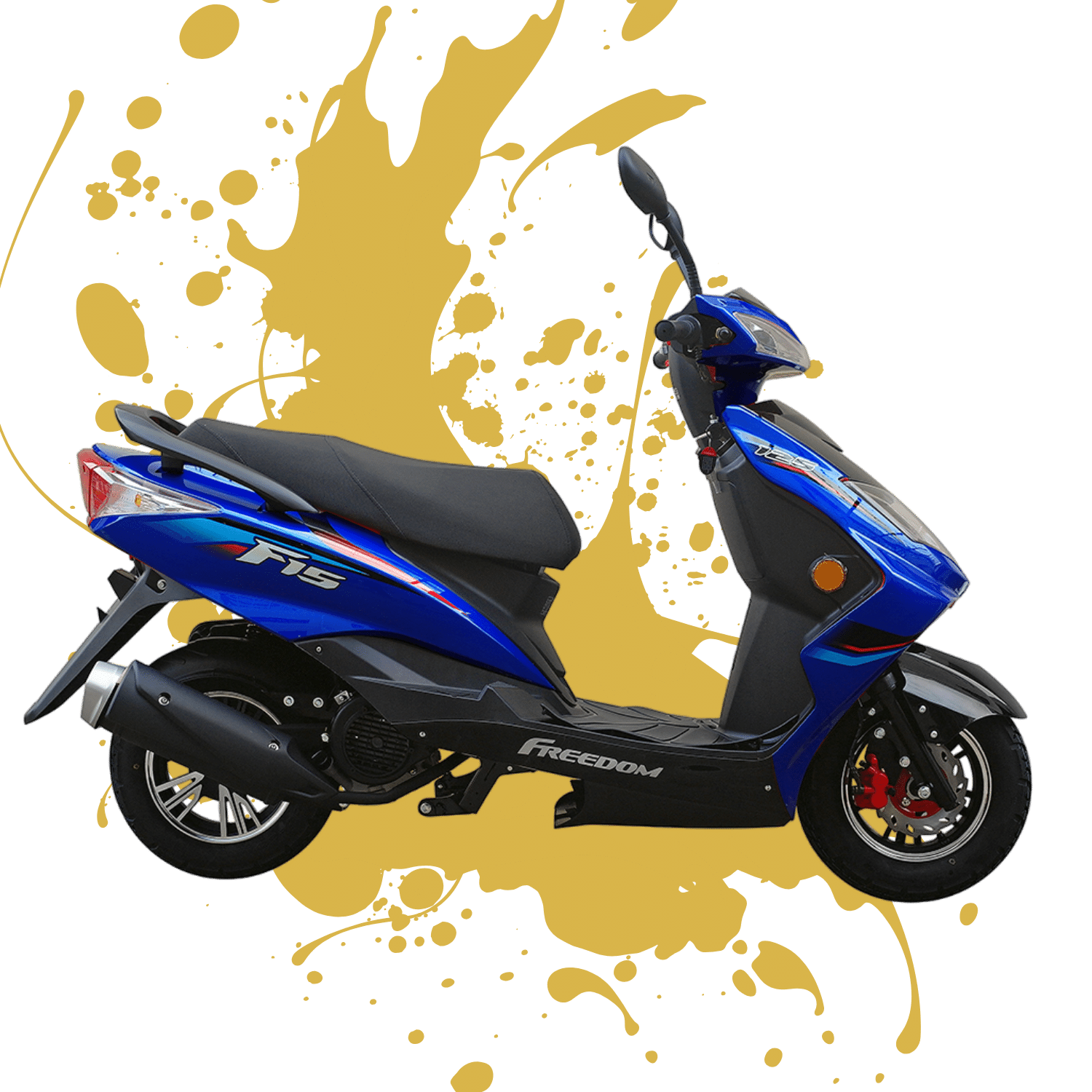 F15 125 – Grupo Disla