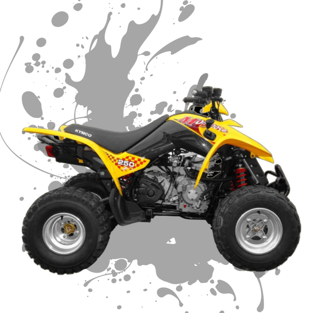 MXER 250 OFF ROAD – Grupo Disla
